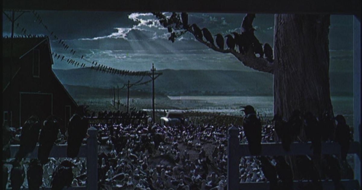 Scariest Final Shots in Horror Movies of All Time