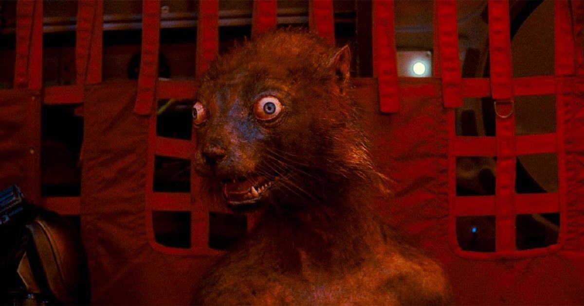 Creature Commandos: Cast and Character Guide