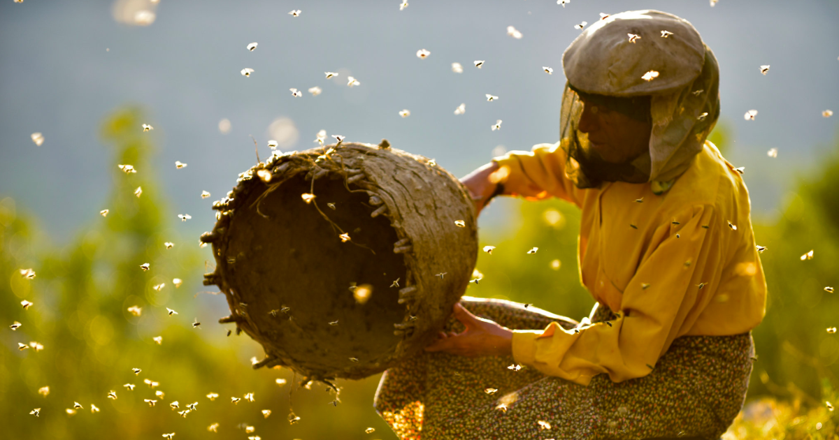 10 Documentaries That Get Real About the Environment