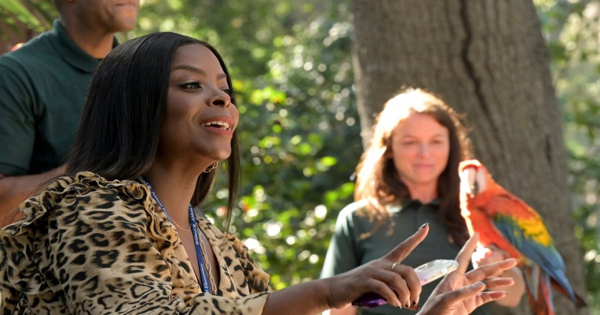 Abbott Elementary: Funniest Ava Coleman Lines (So Far), Ranked