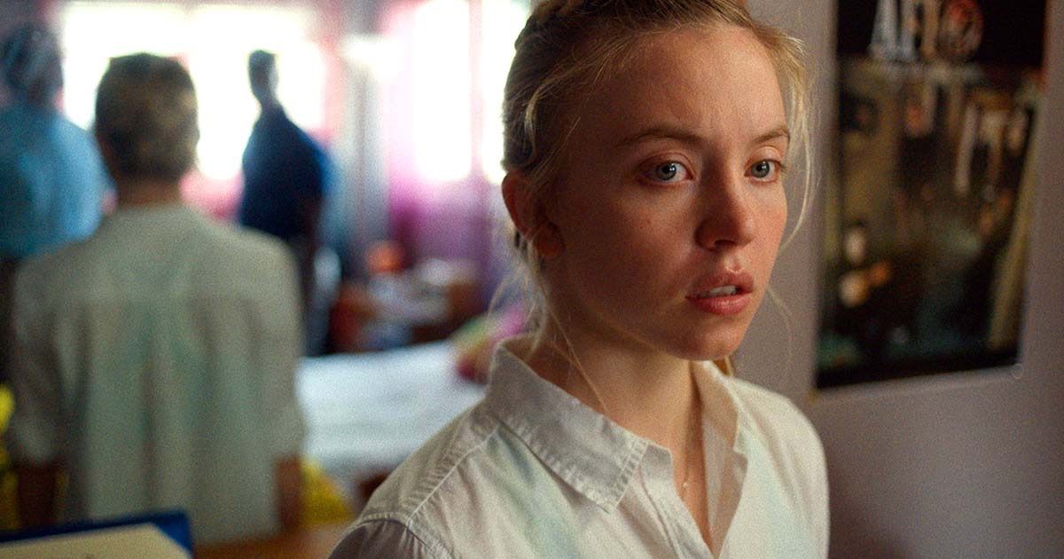 HBO's Reality: Plot, Cast, Release Date, and Everything Else We Know