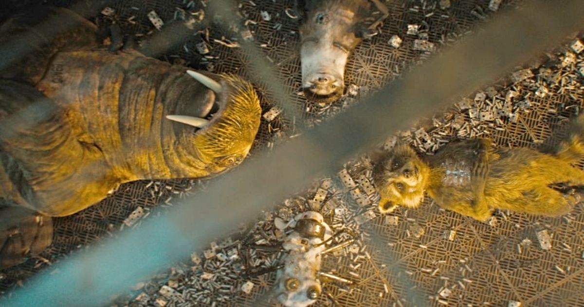 Why Guardians of the Galaxy Vol. 3 Is an Animal Rights Masterpiece