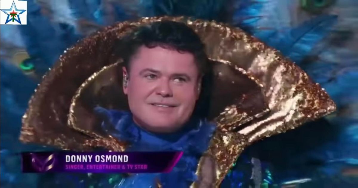 The Masked Singer: The 10 Most Loved Reveals on the TV Show