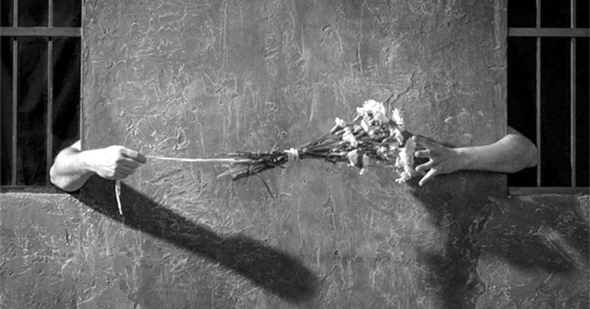 Best LGBTQ+ French Movies to Watch Next