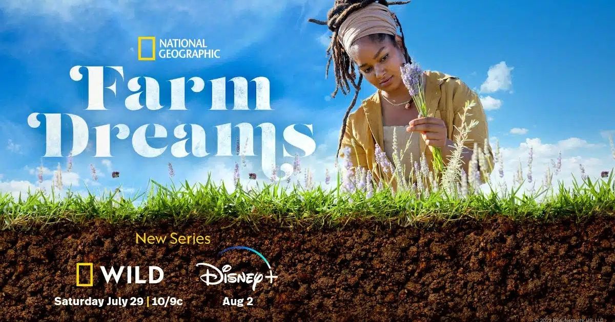 Every TV Series Coming to Disney+ in August 2023