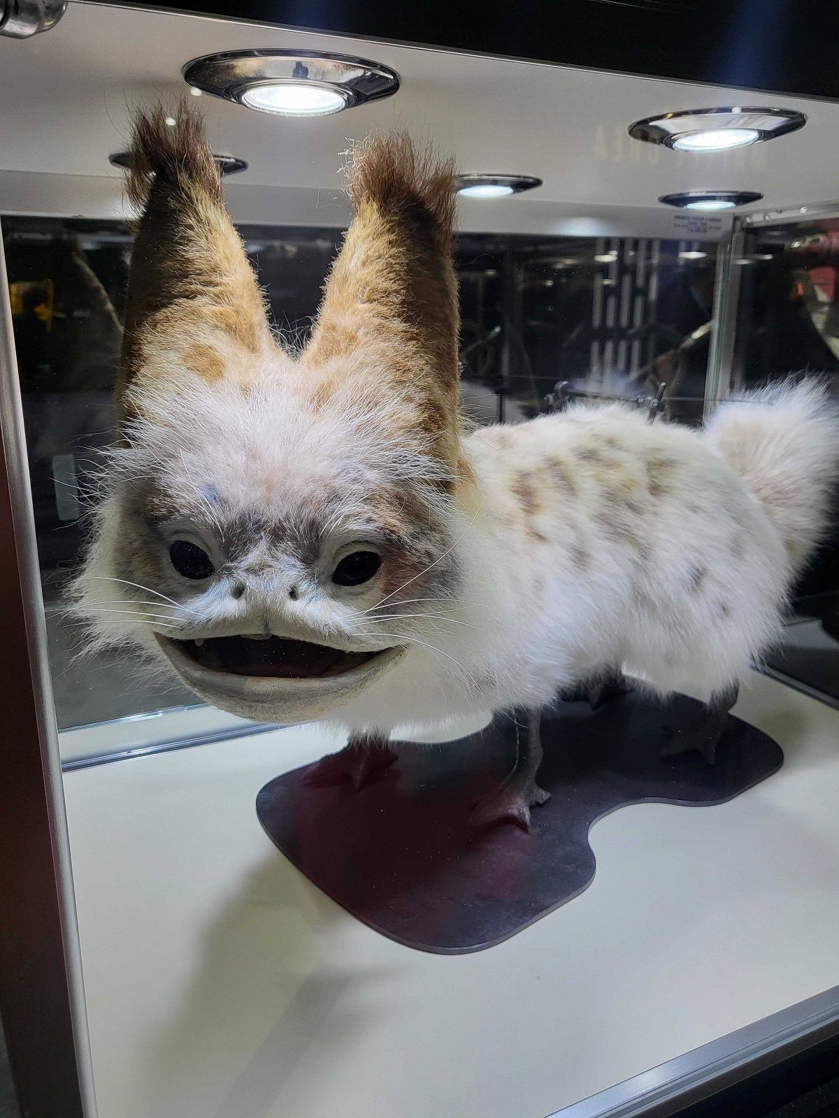 Comic-Con Images Reveal Star Wars, Marvel and DC Costumes, Props & More