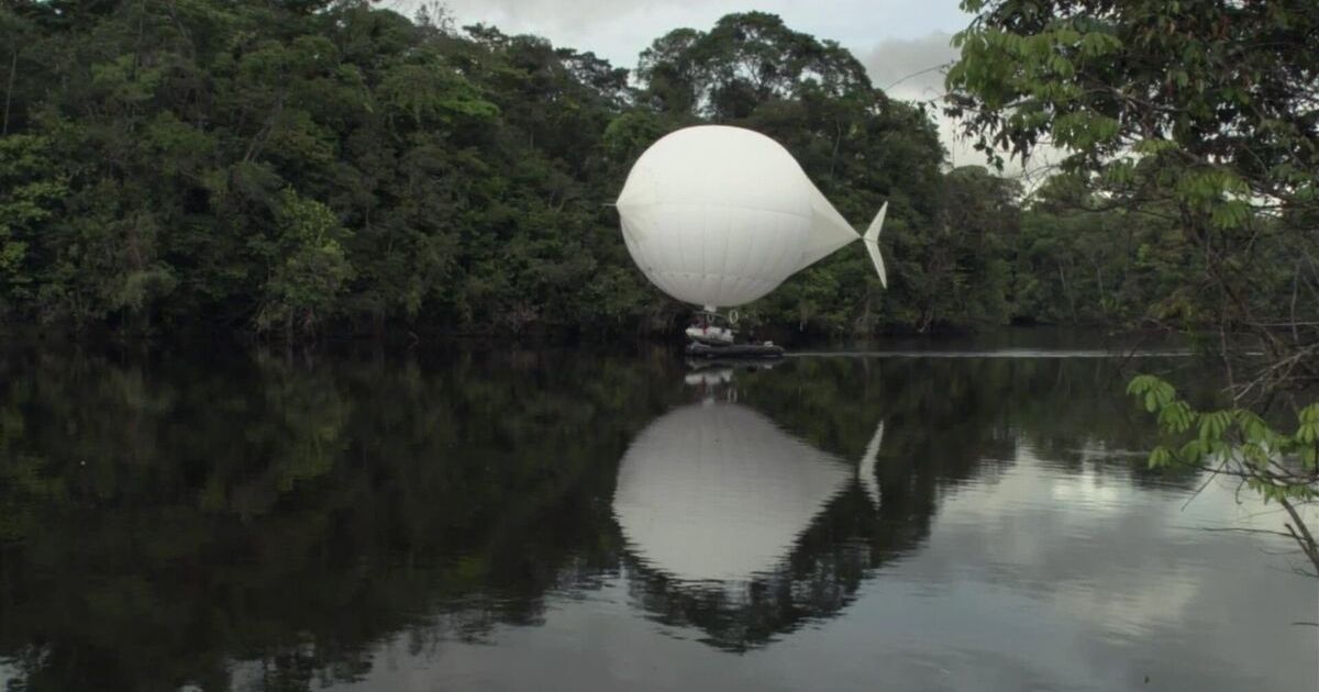 The 25 Greatest Documentary Films of All Time, Ranked