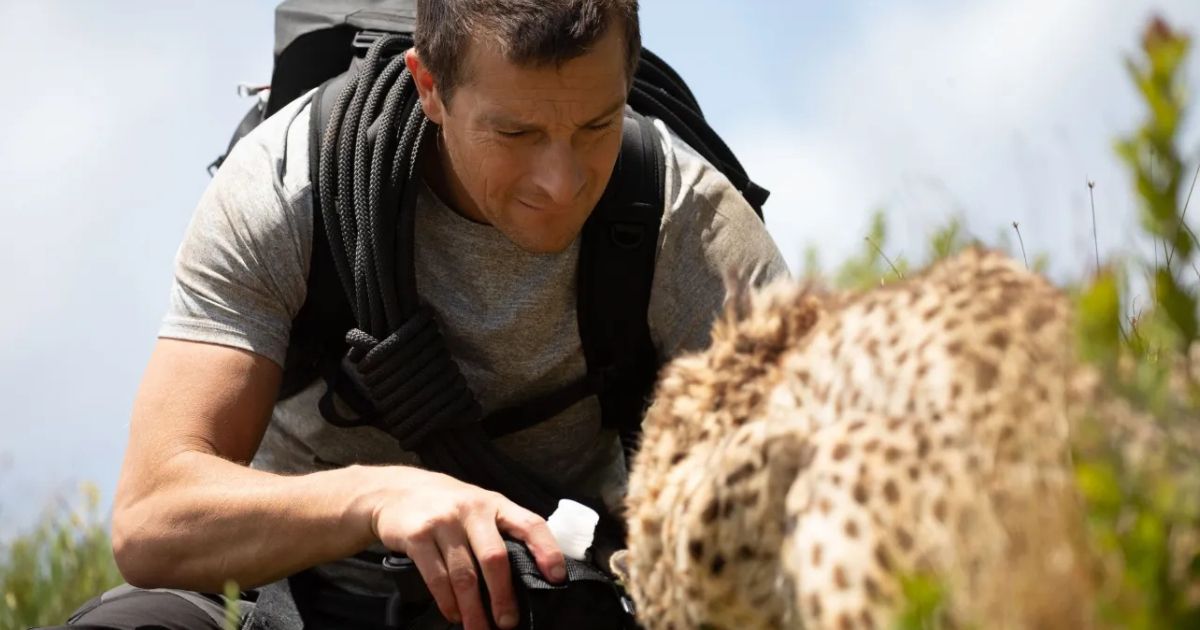 All of Netflix’s Interactive Movies and TV Series, Ranked