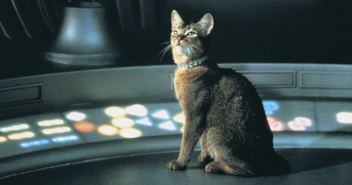 20 Best Movies About Friendly Aliens