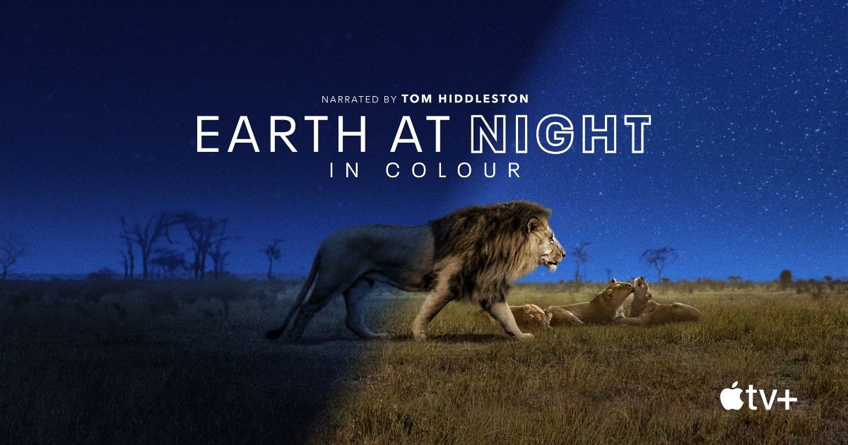 10 Lesser-Known Docuseries Worth Checking Out