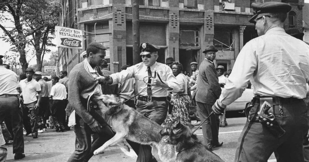 The 11 All-Time Best Documentaries About Racism