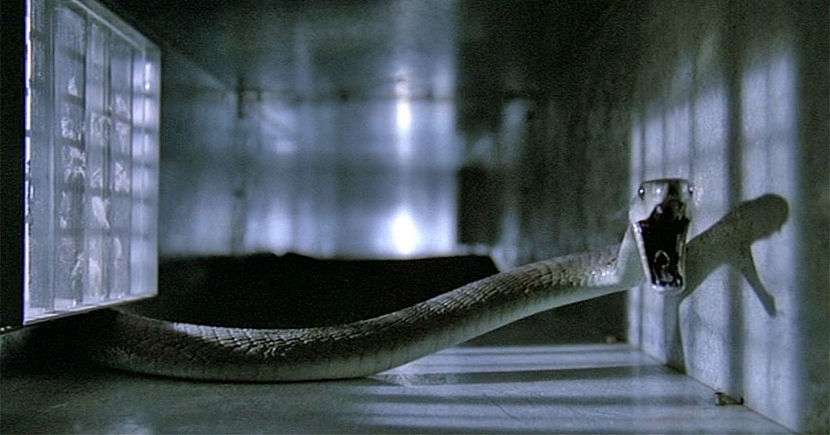 25 Movies to Avoid if You’re Afraid of Snakes