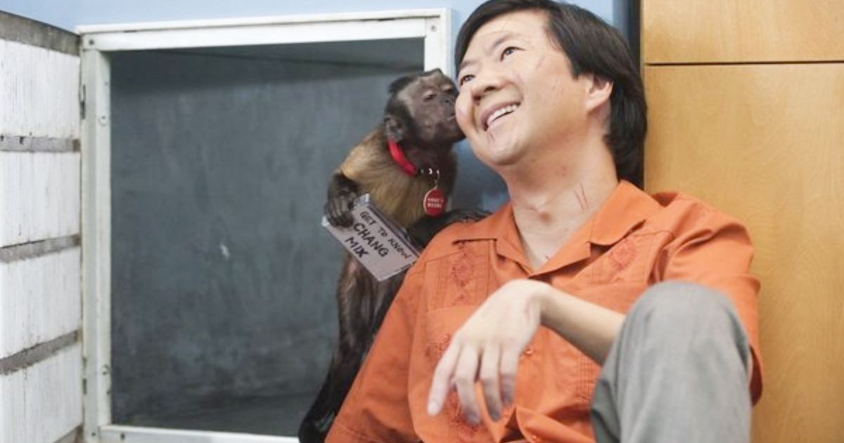 Community: Where the Cast is Today