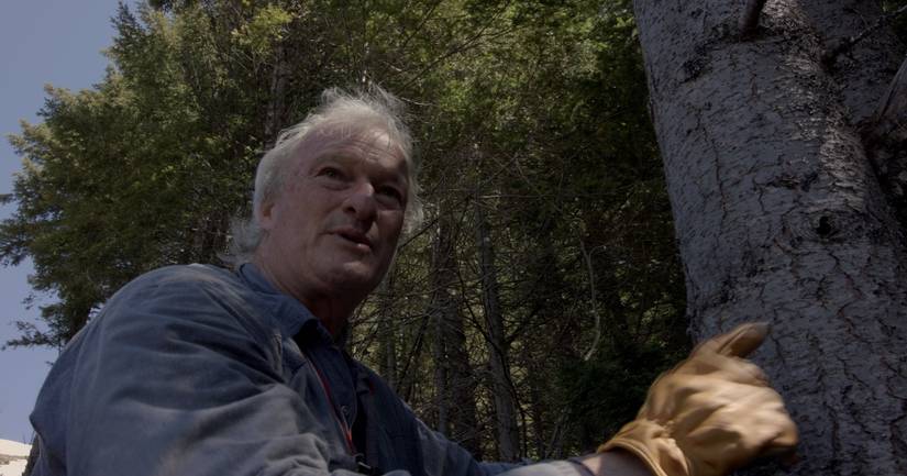 The 10 Best Bigfoot Documentaries of All Time