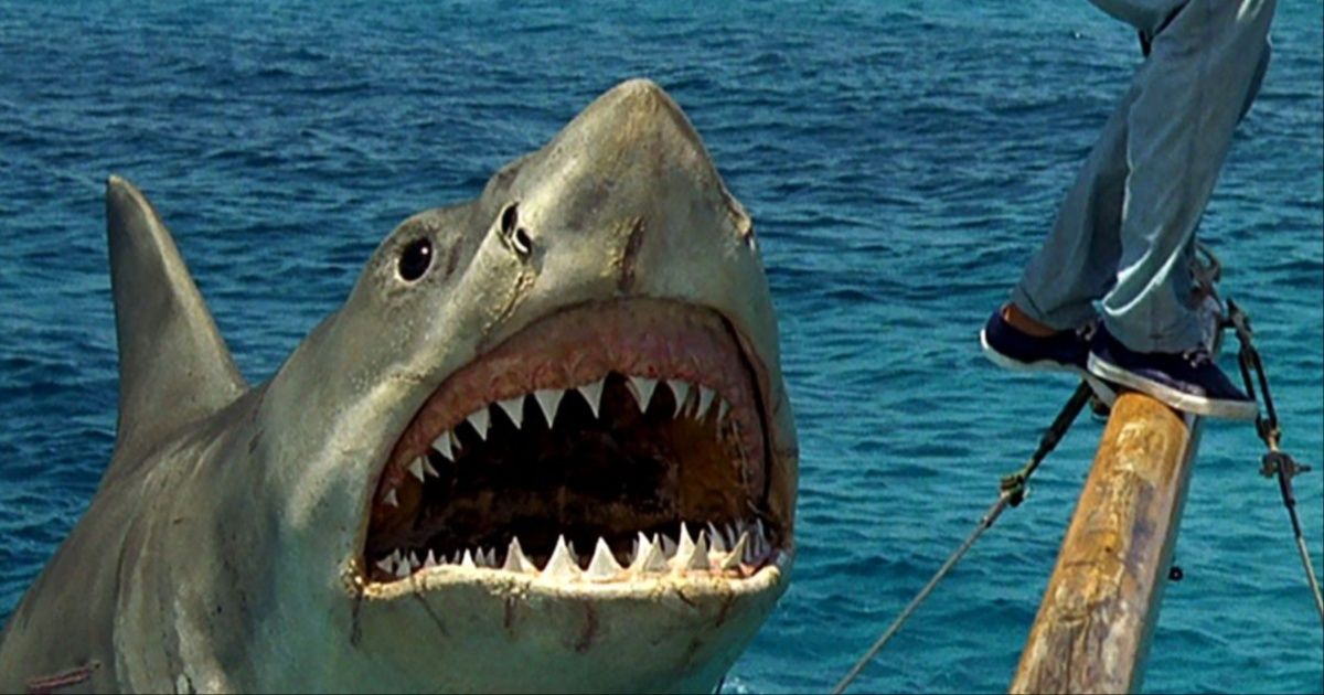 10 Ways Jaws: The Revenge Is More Compelling Than You Remember