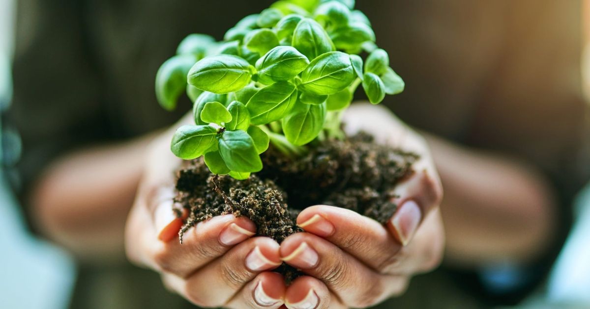 10 Best Food Documentaries to Watch on Netflix