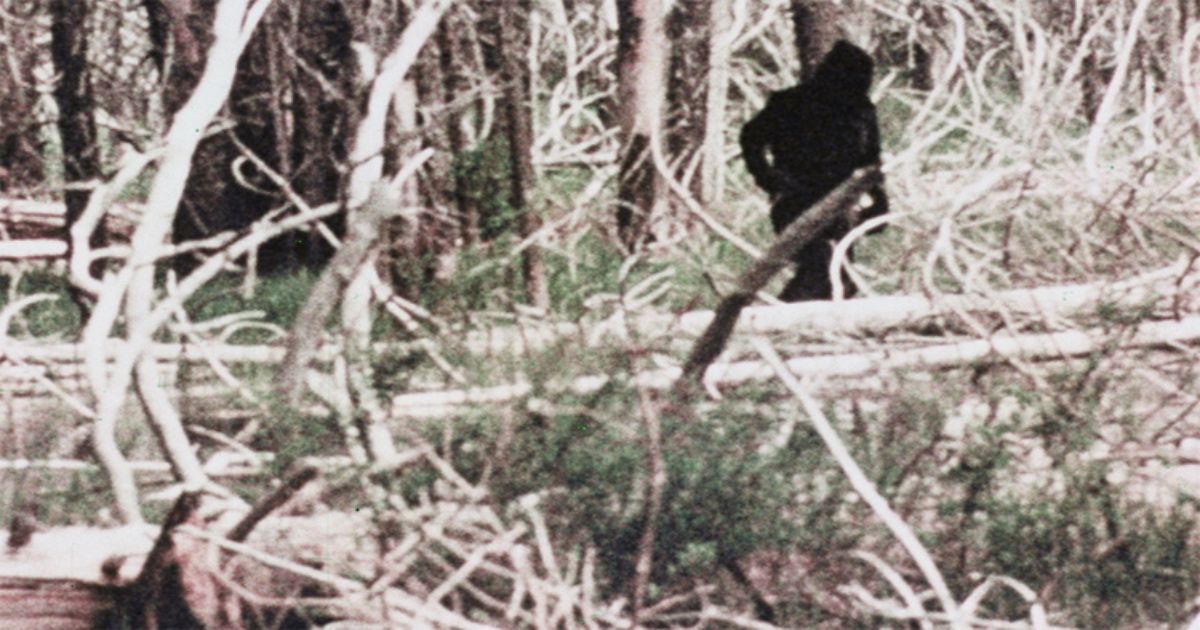 The 10 Best Bigfoot Documentaries of All Time