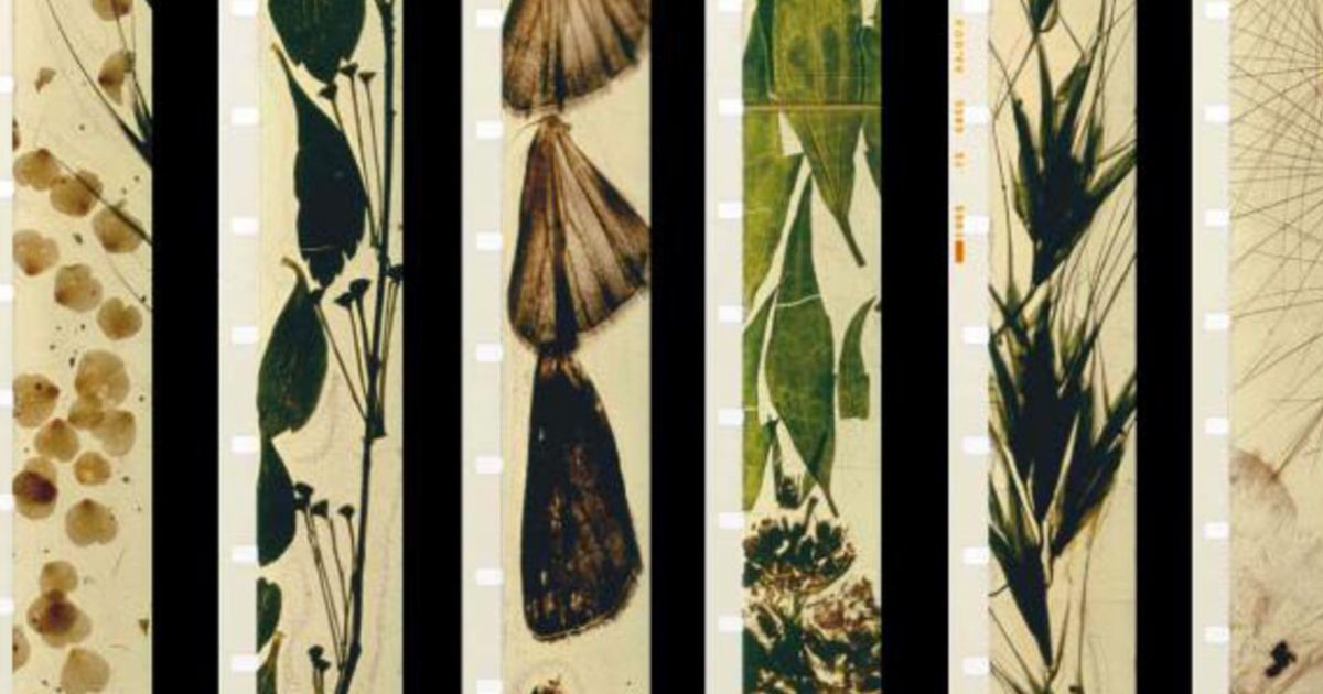 10 Best Short Films to Get Into Experimental Cinema