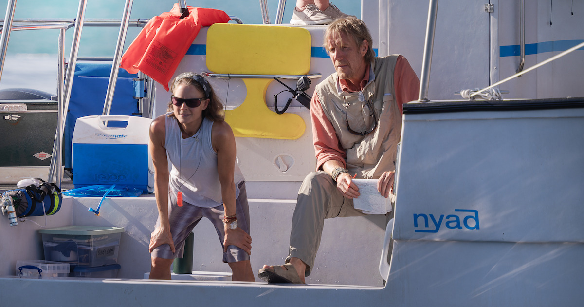 The True Story of Netflix's Nyad, Explained