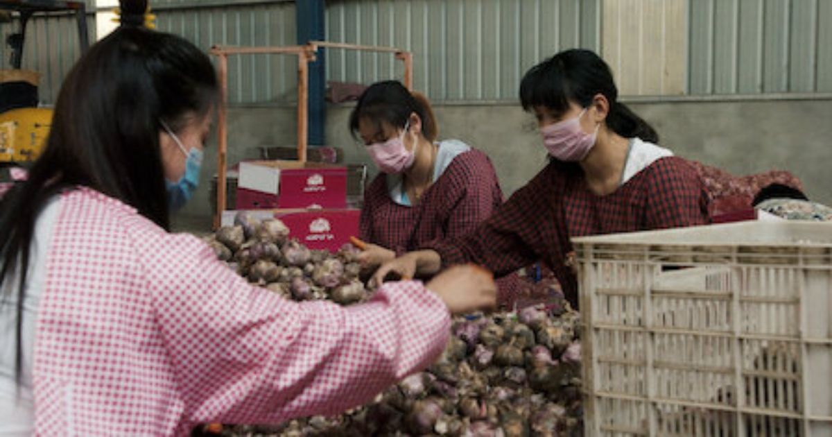 10 Best Food Documentaries to Watch on Netflix