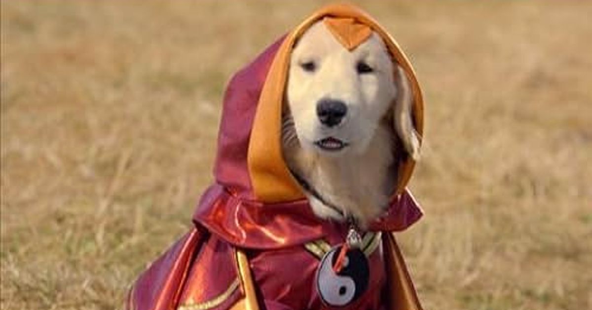 Best Tenzing Norgay Trainor Performances, Ranked