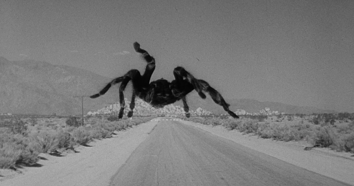 Best 1950s Horror Movies From America