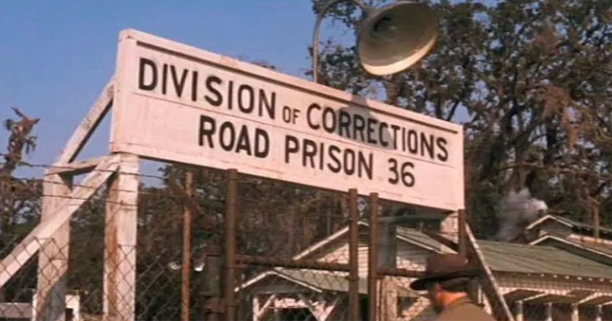 Cool Hand Luke: The True Story Behind the Prison Escape Film