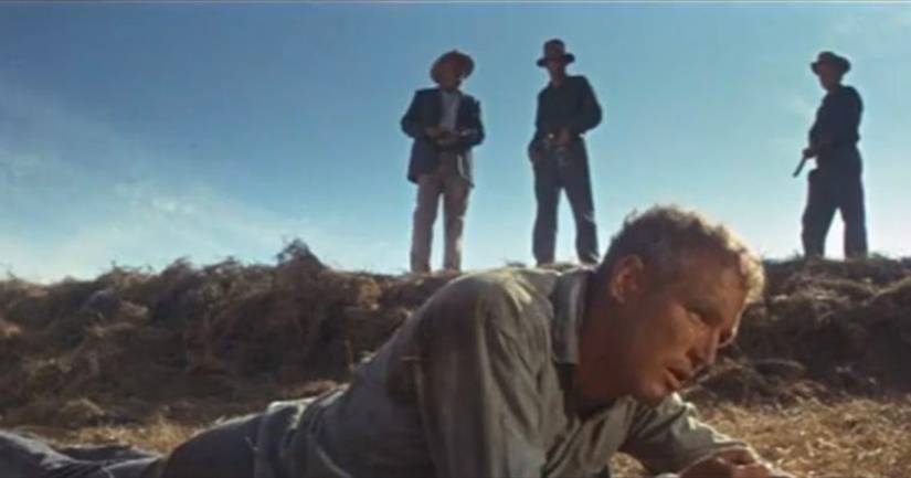 Cool Hand Luke: The True Story Behind the Prison Escape Film