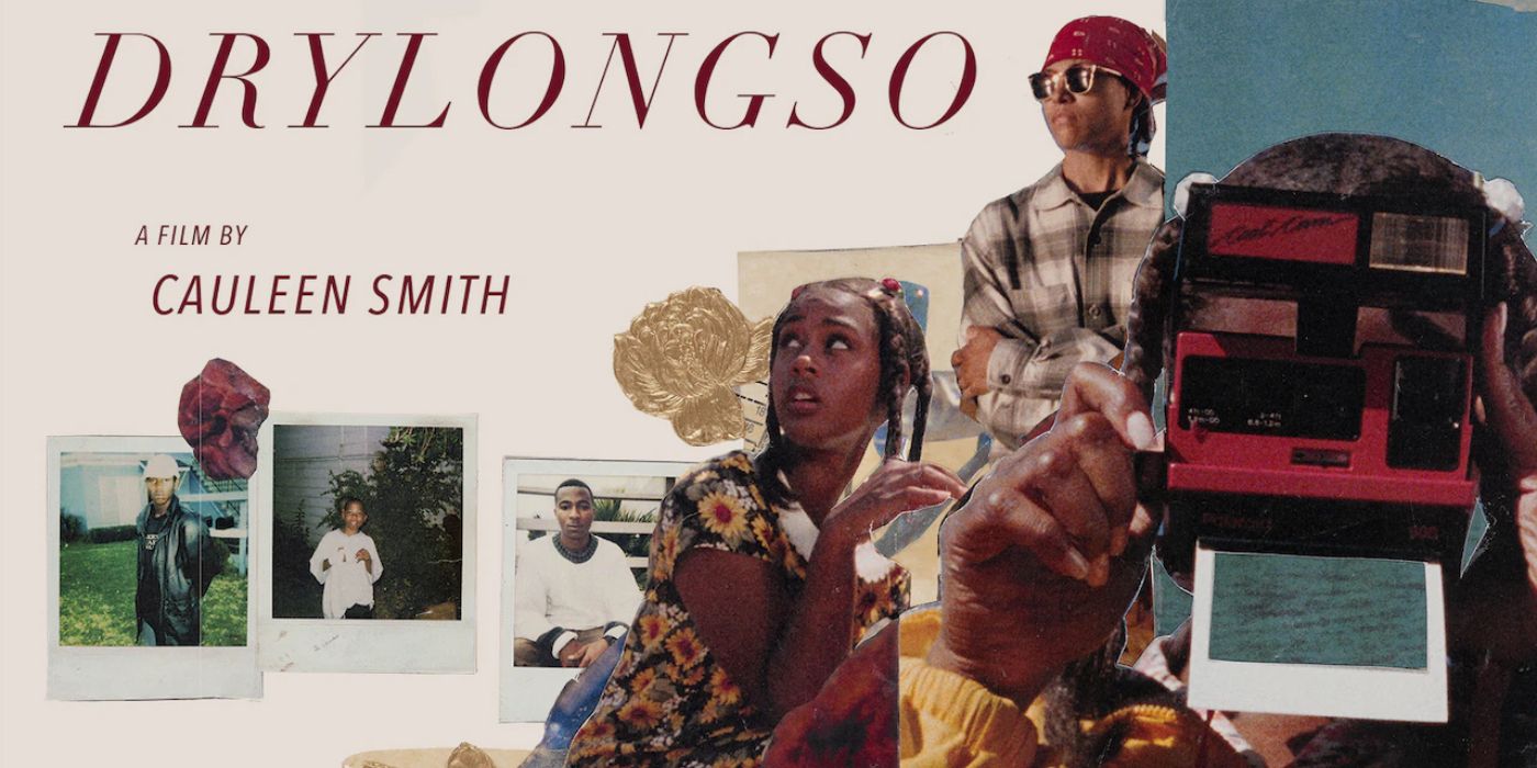 The Best Home Media Releases in 2023 (Last Minute Holiday Gift Guide!)