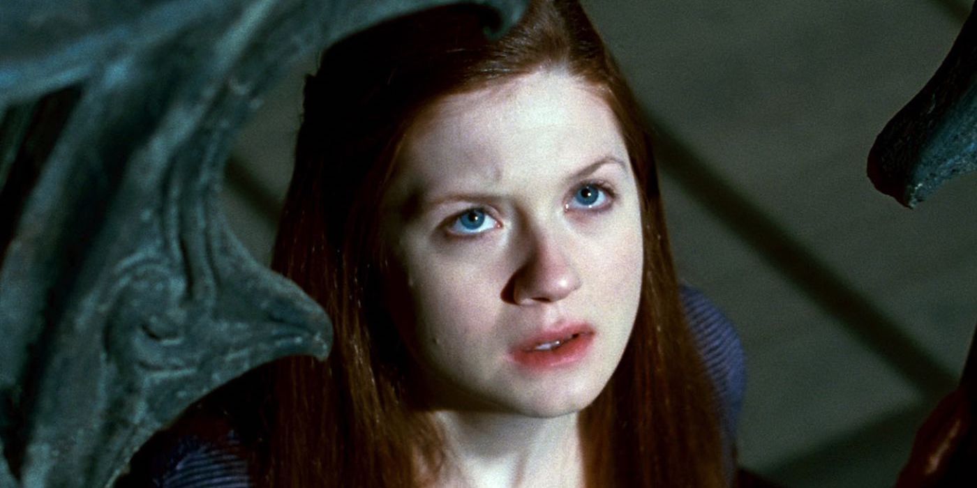 Harry Potter: 10 Books Characters Who Deserve More Screentime in the ...