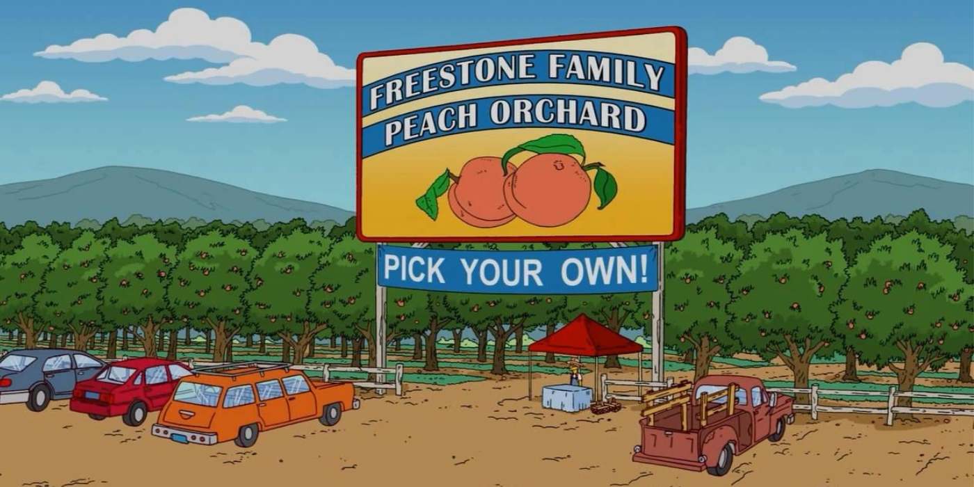 Top 10 Musical Performances in The Simpsons, Ranked