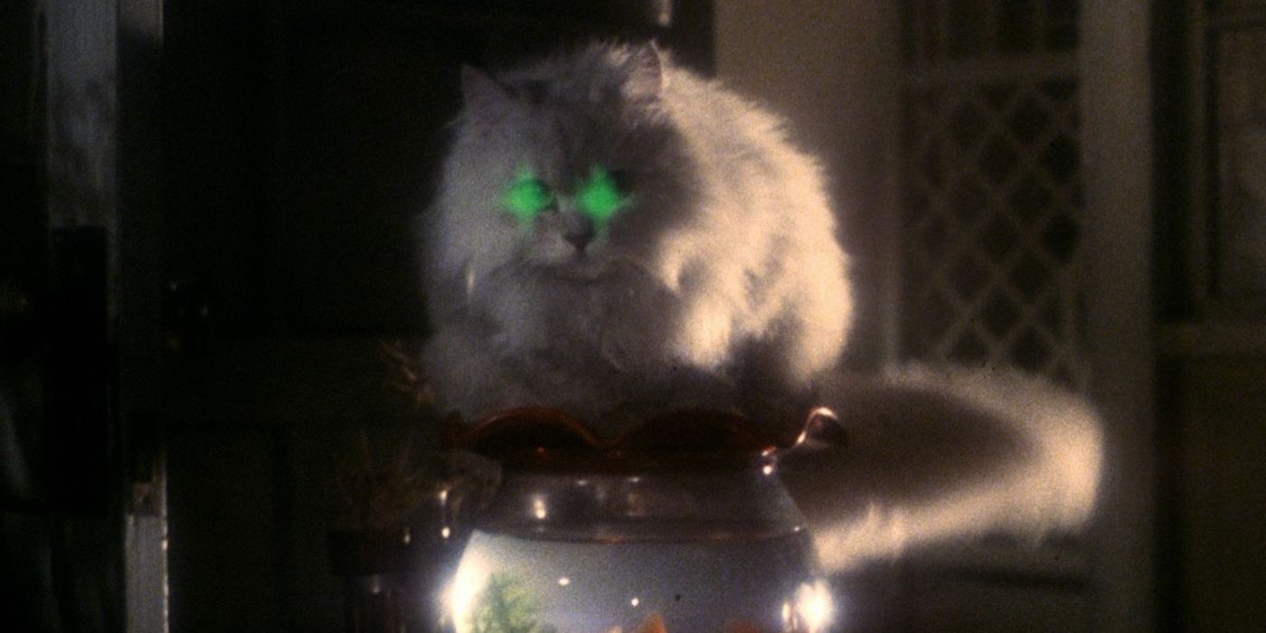 10 Best Horror Movies You Can Watch for Free on Internet Archive, Ranked
