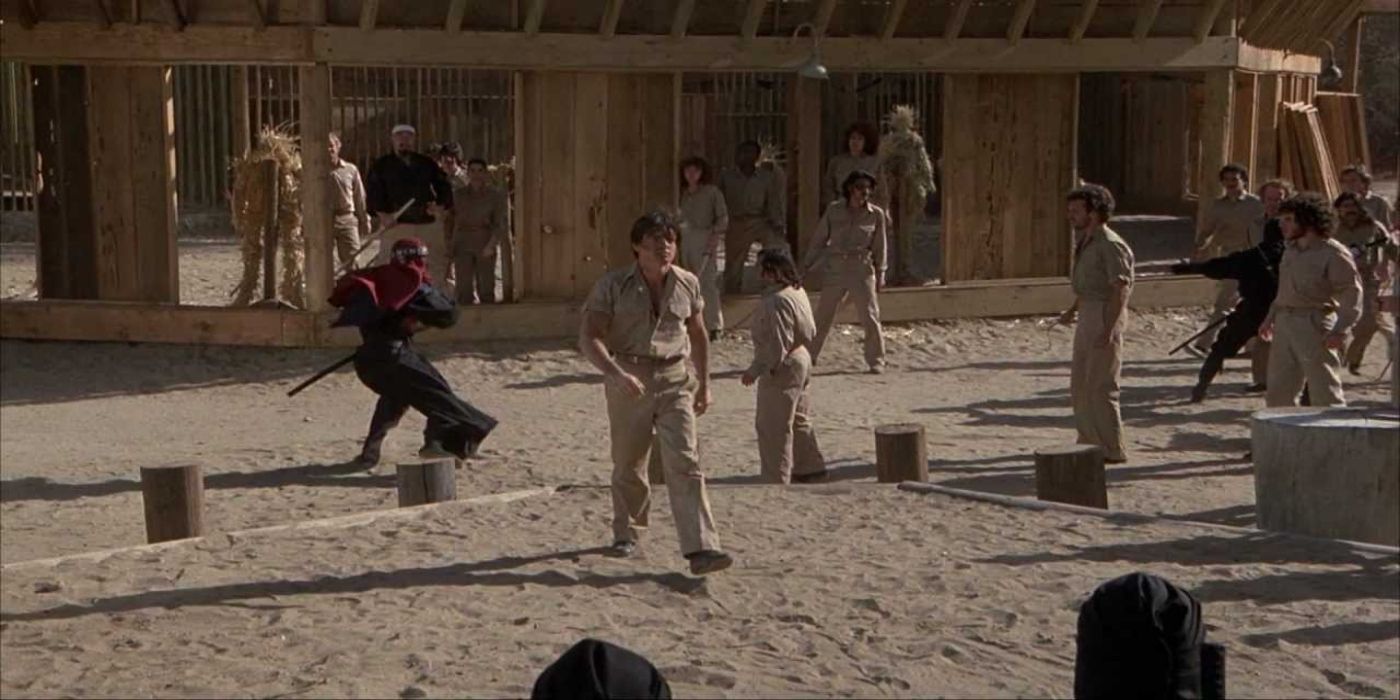 The Best Movies About Ninjas, Ranked