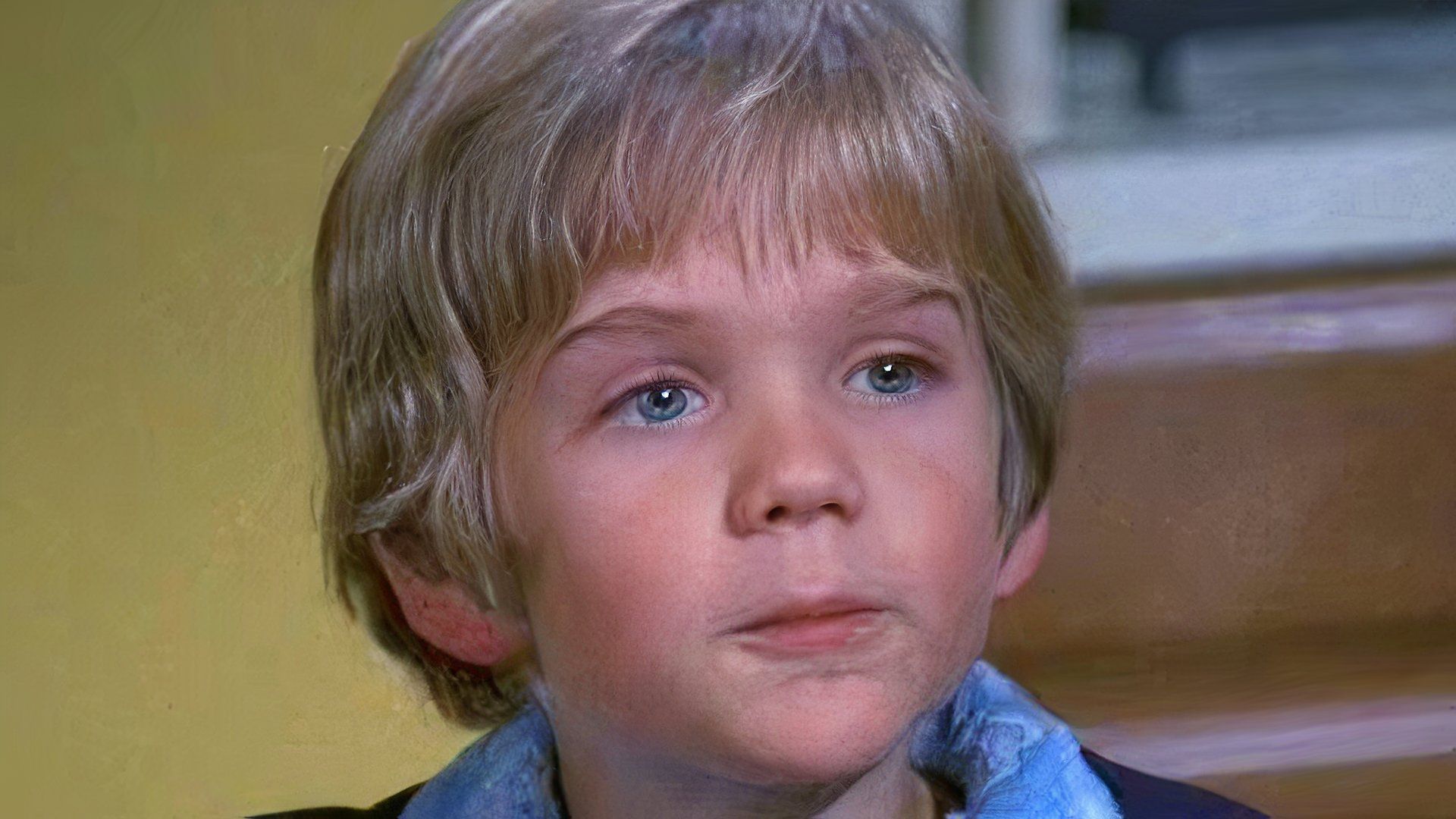 Jeremy Gelbwaks 2024 The Partridge Family: Where Are They Now?