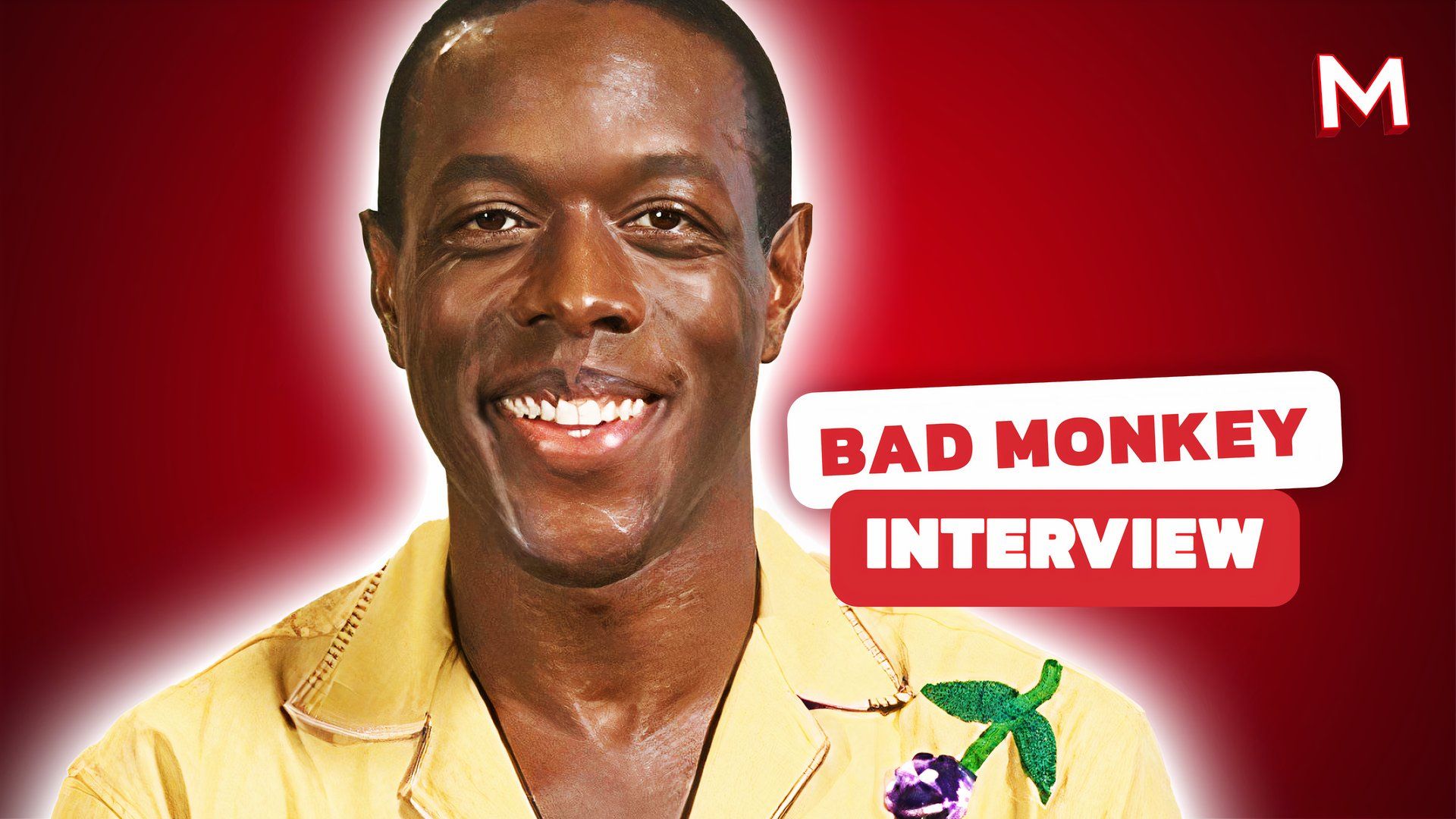 Seinfeld Star Michael Richards Says 'I’m Not Racist' or 'Looking for a Comeback'