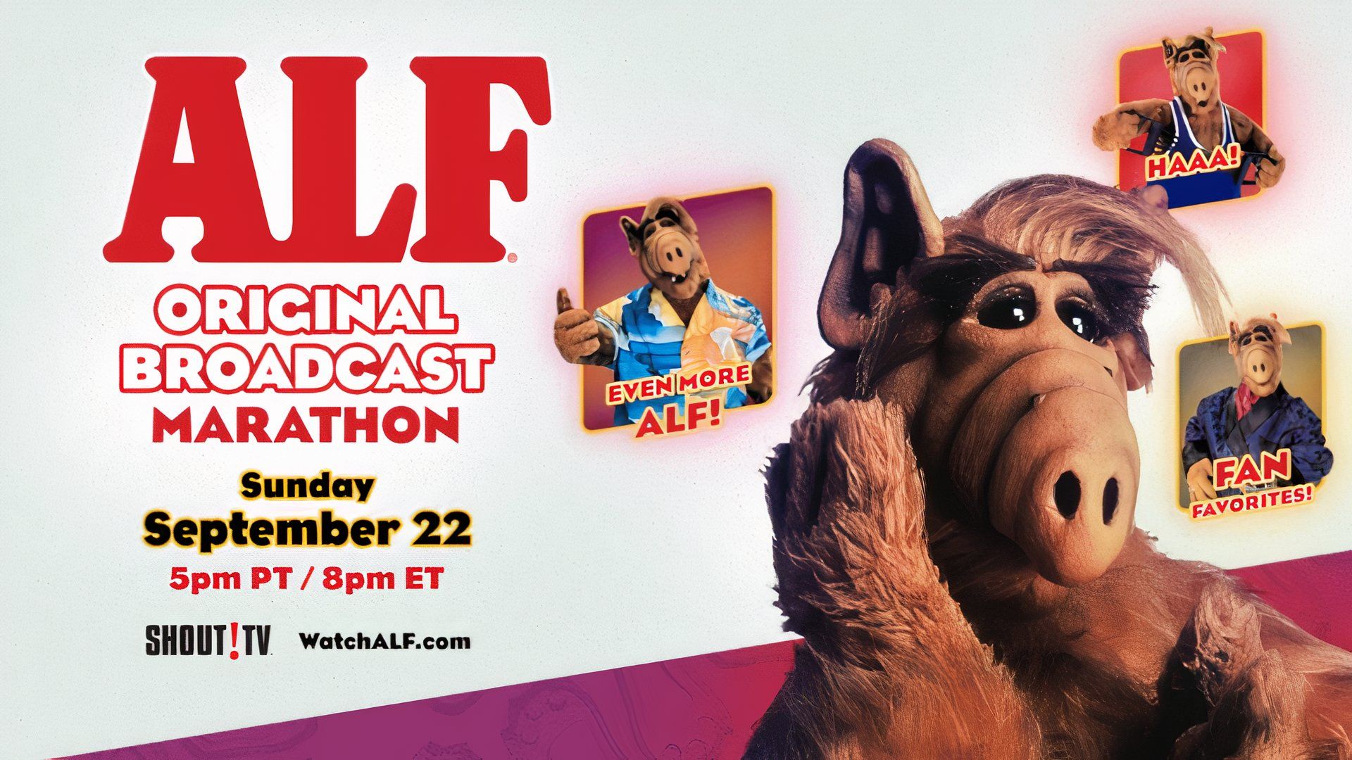 ALF Original Full-Length Episode Marathon ｜ Shout! TV