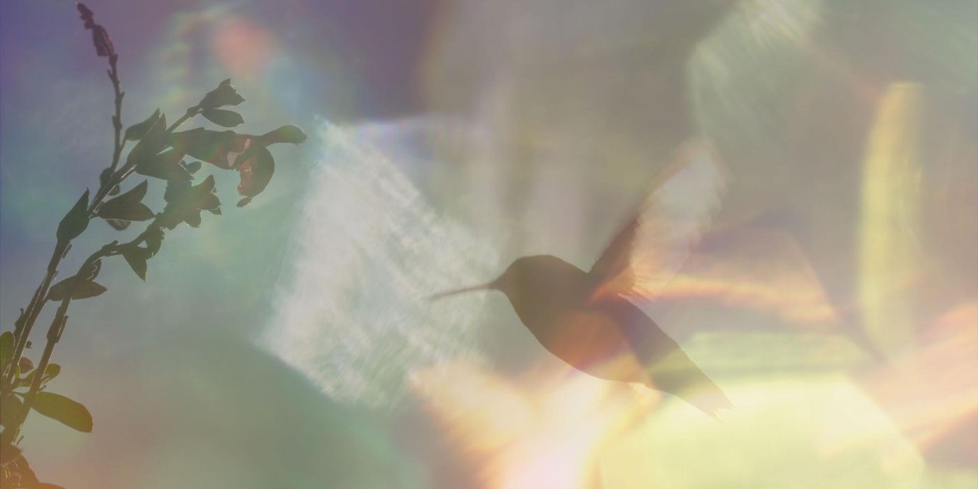 The 10 Best Disney Mothers, Ranked