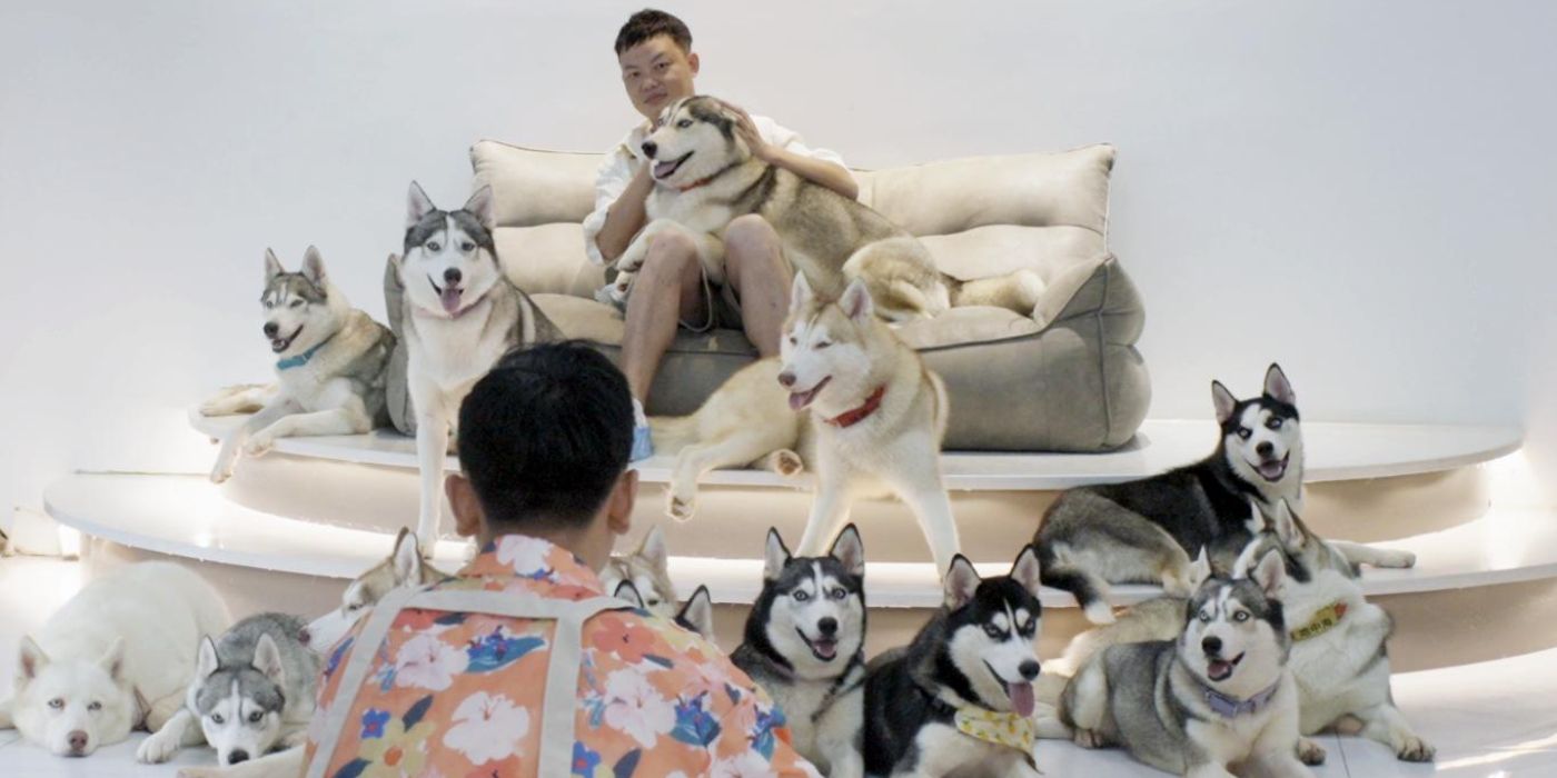 ‘The Dating Game’ Review: Love Is a Numbers Game in Sundance Doc