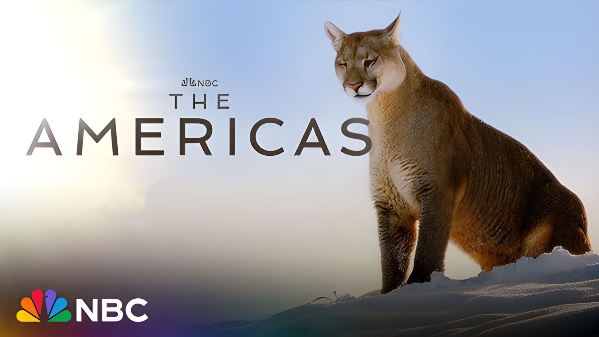 'The Americas' Clip Has Tom Hanks Finishing the Show in Patagonia