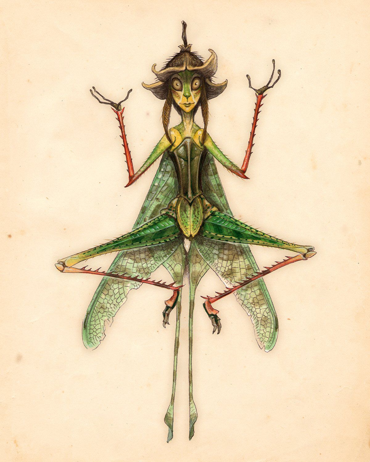 The Spiderwick Chronicles Live-Action TV Show Is Coming to Disney+