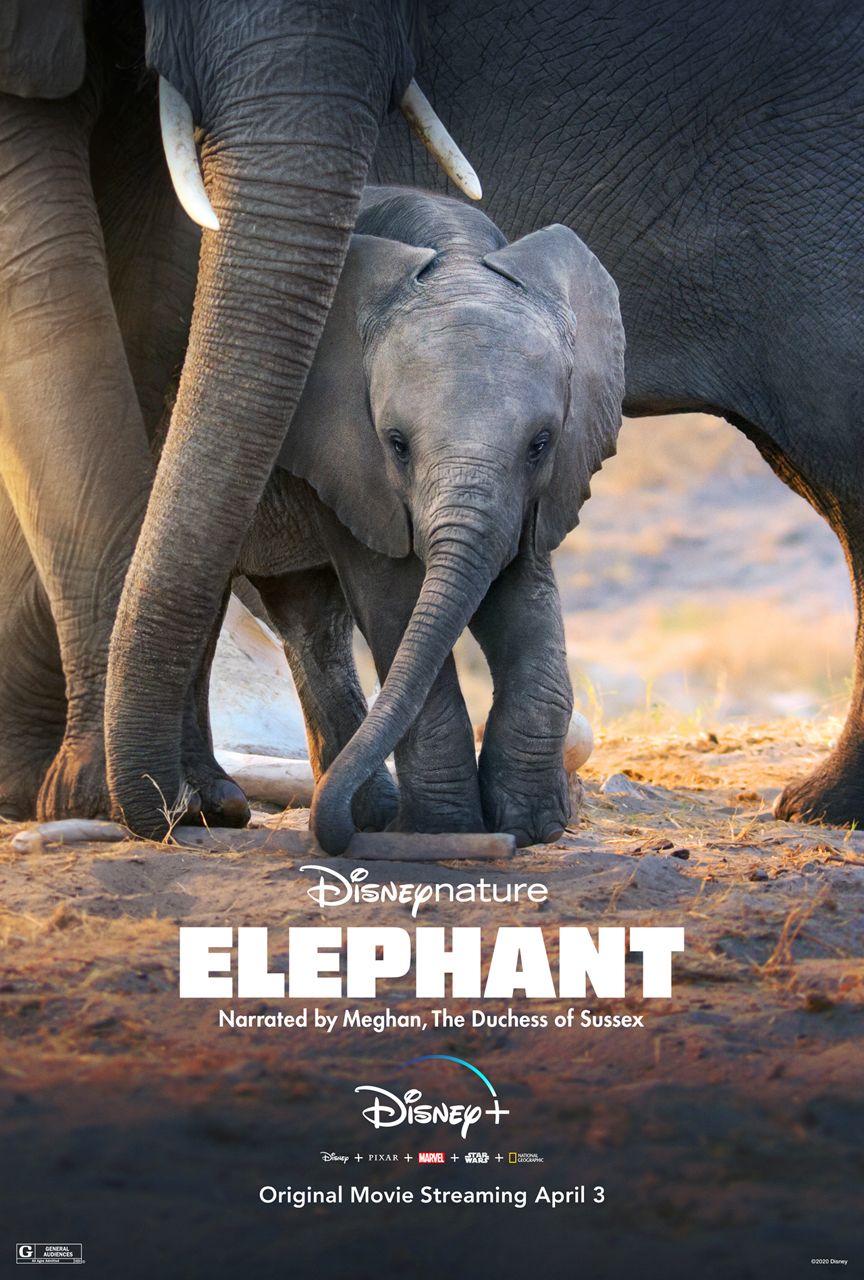 Disney+ Celebrates Earth Month with 2 New Disneynature Movies This April