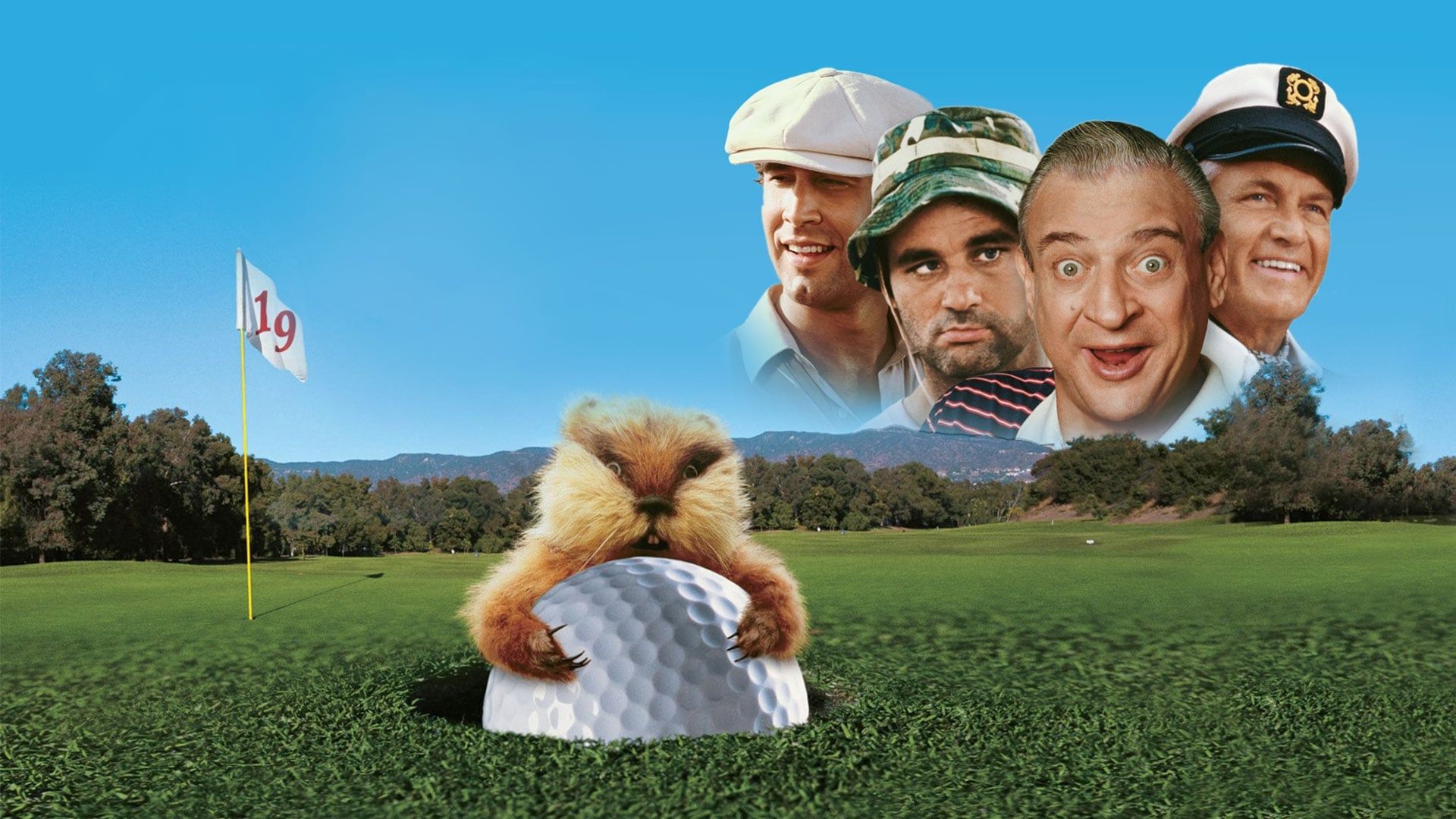 13 of the Greatest Summer Comedies Ever