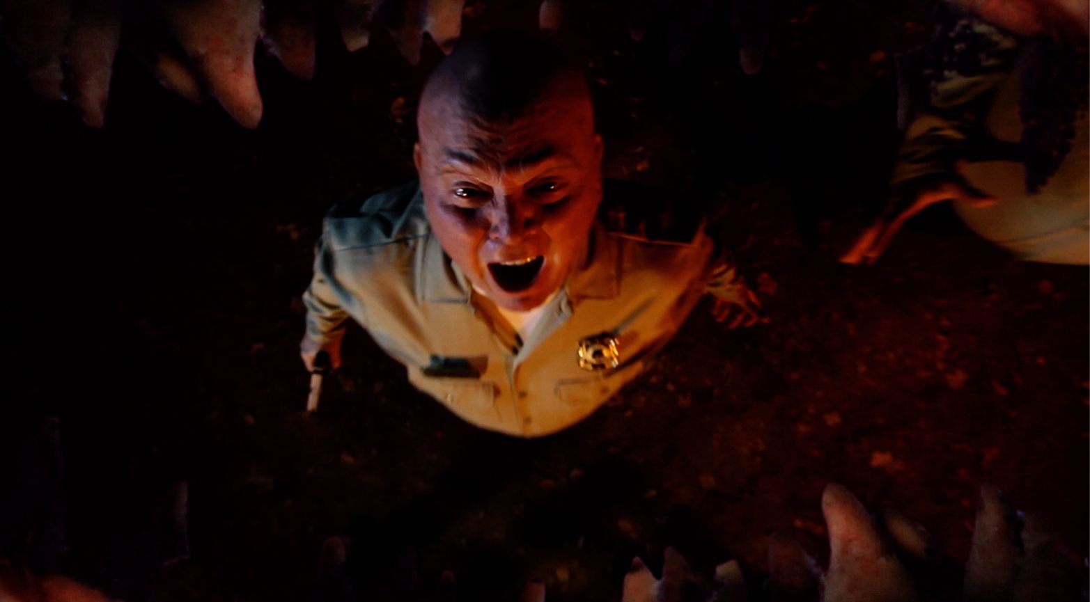 Maggots Trailer Is Here to Feast on Your Guts [Exclusive]