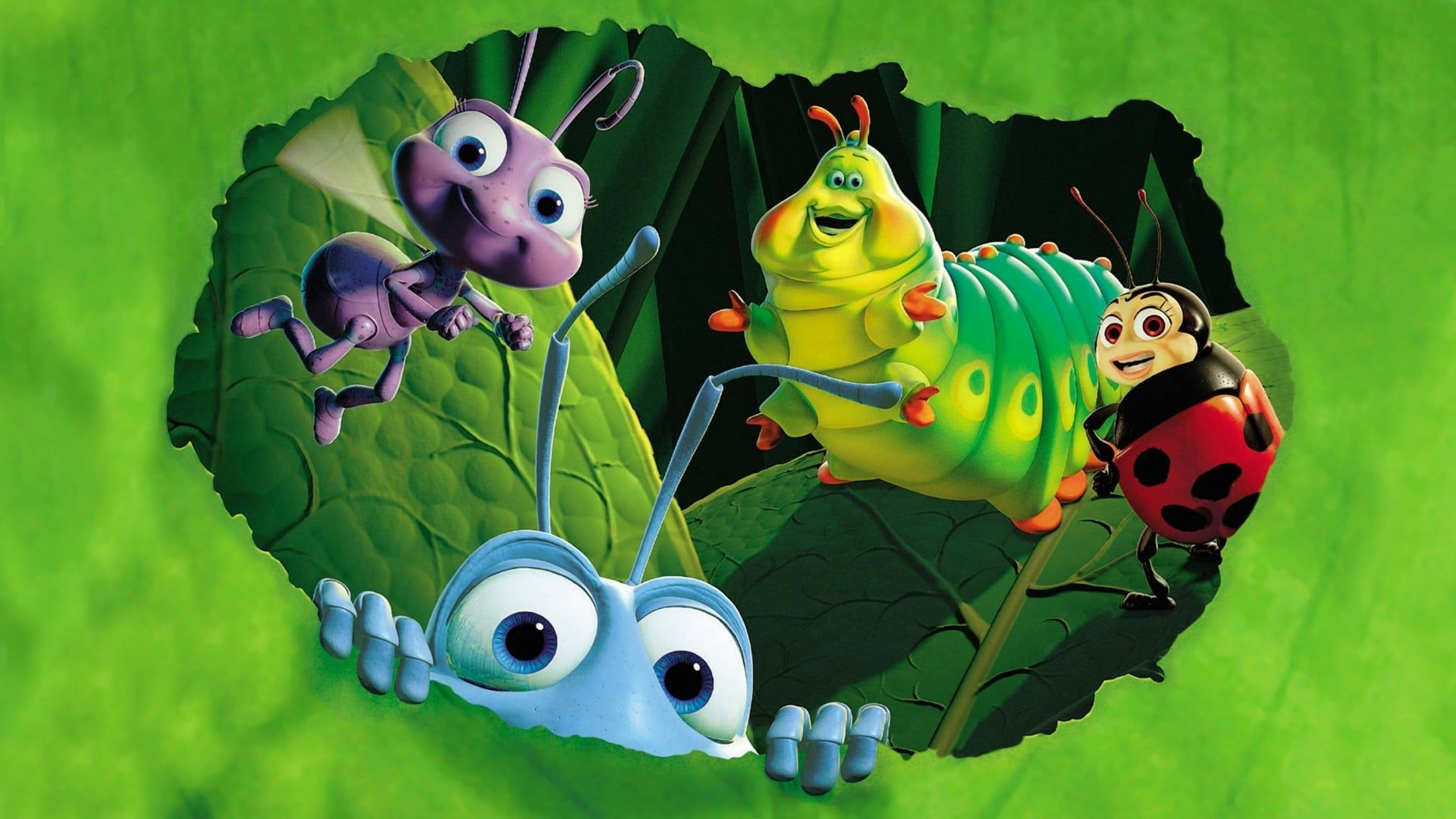 Disneyworld Vacation in Animal Kingdom - What to Watch Before You Go