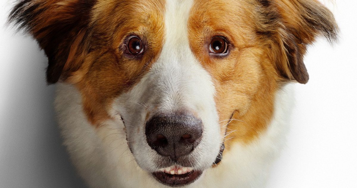 A Dog's Journey Trailer: The Sequel to A Dog's Purpose