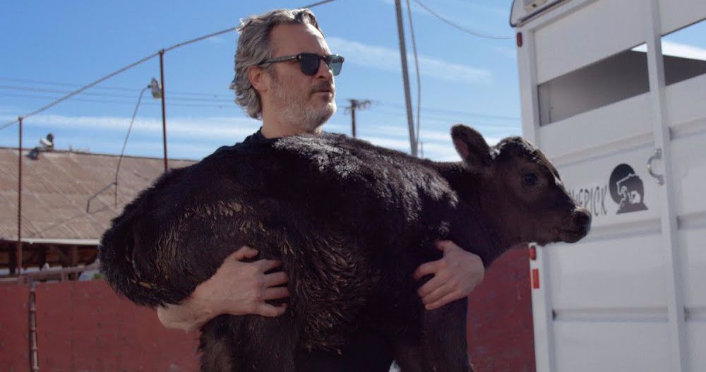 Joaquin Phoenix Rescued a Cow and Her Calf the Day After His Oscars Speech