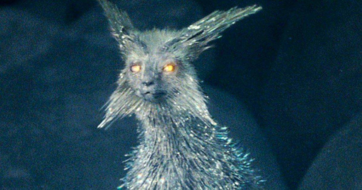The Real Story Behind Those Crystal Foxes in Star Wars 8