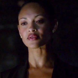 First Look at Amanda Waller in Latest Arrow Season 2 TV Spot
