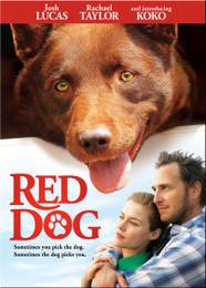 Red Dog DVD Poster Exclusive Red Dog DVD Poster Exclusive