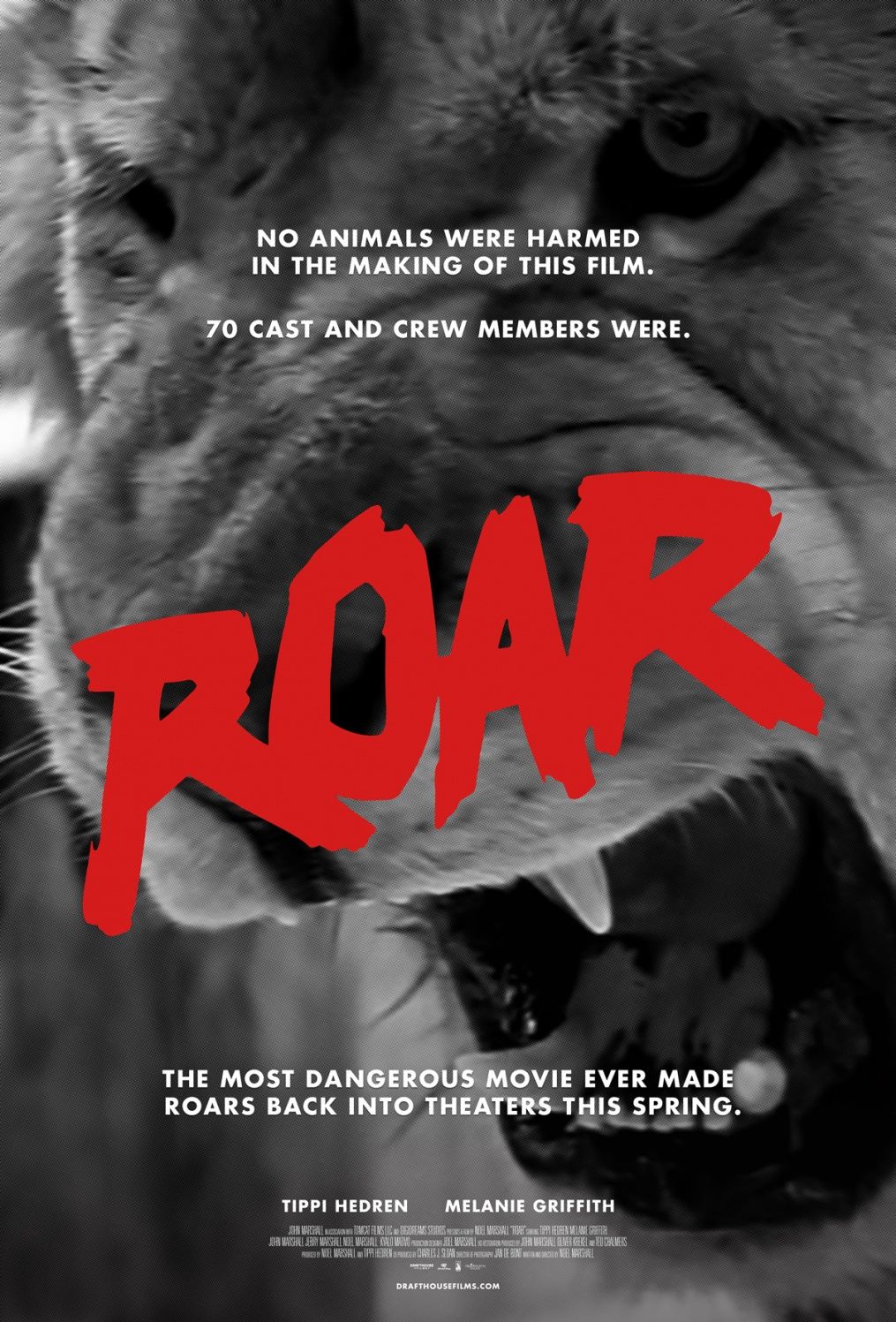 Roar Trailer: Real Lions Attack Melanie Griffith!